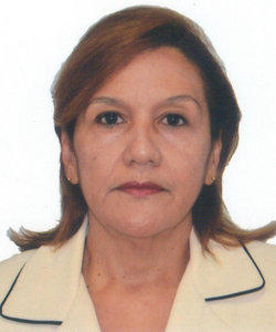 World Sustainable Development Summit - WSDS 2024